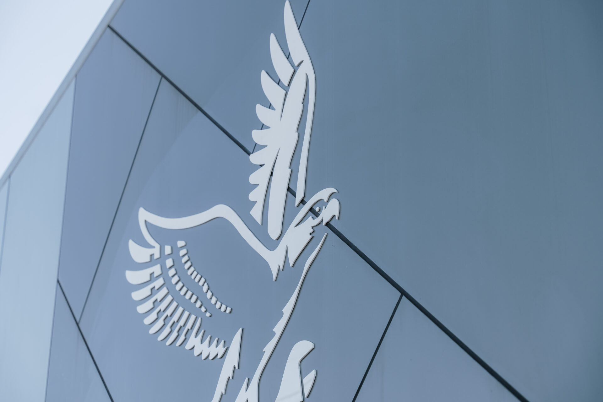 The Falcon Building Group Team’s 2025 Highlights | Progress, Projects ...